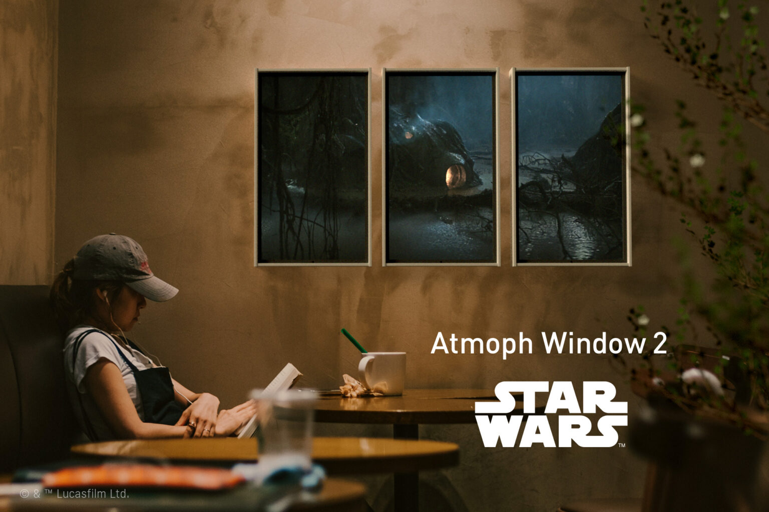 「Atmoph Window 2 Star Wars」にダゴバの風景が配信！圧巻のスマートウィンドウで『スター・ウォーズ』の情景に浸ろう ...